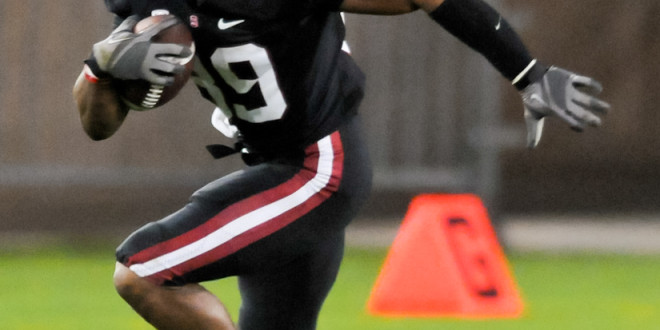 NFL Notes: Baldwin ’11 starring on Seahawks | Stanford Daily